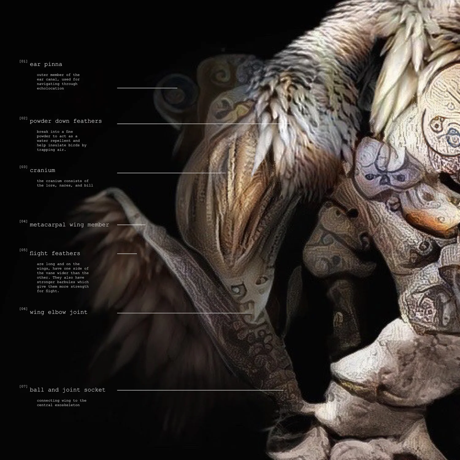 Portfolio - Robert Schaffer