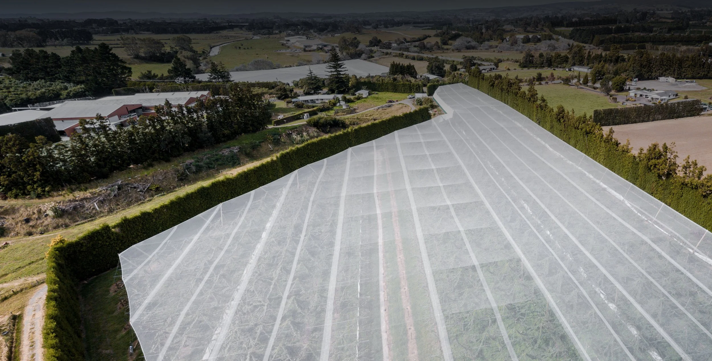 Home [www.brixgroup.nz]