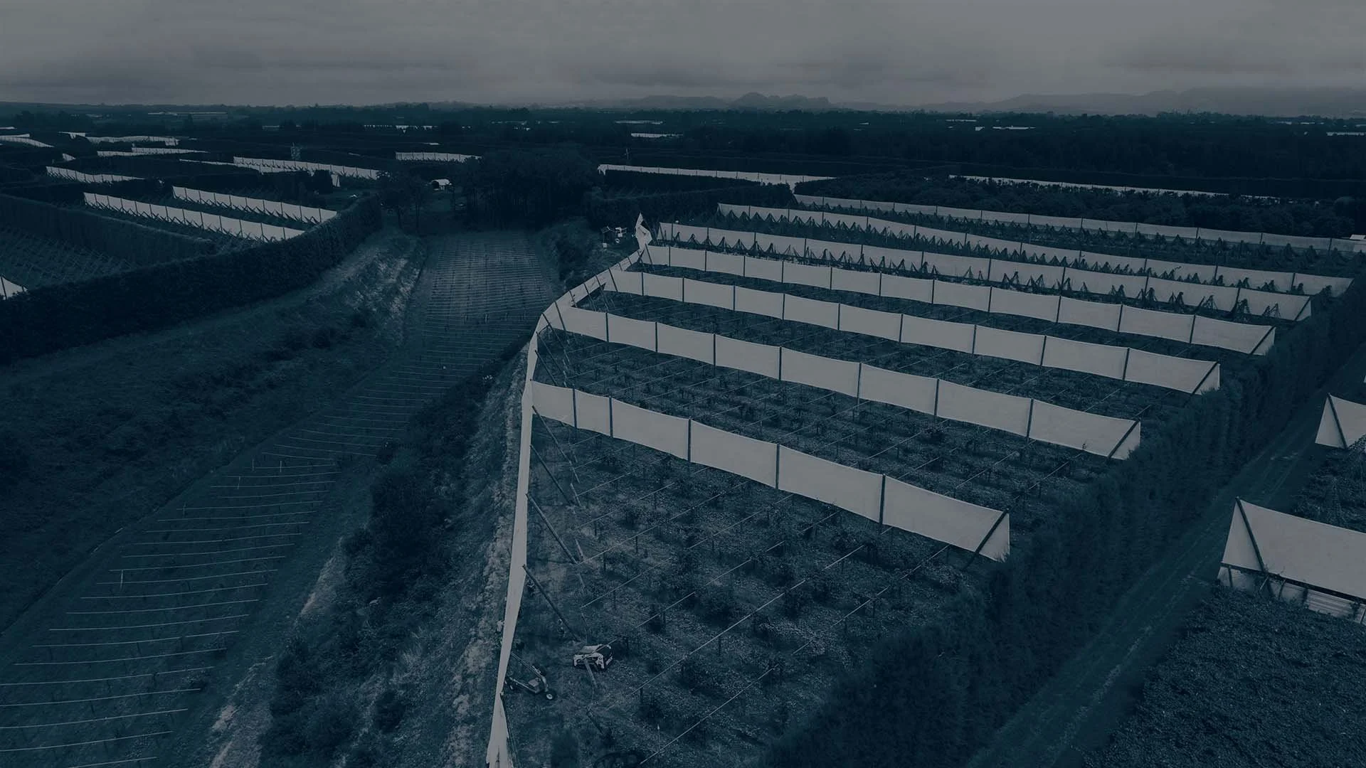 Brix Group - Experts In Orchard Development