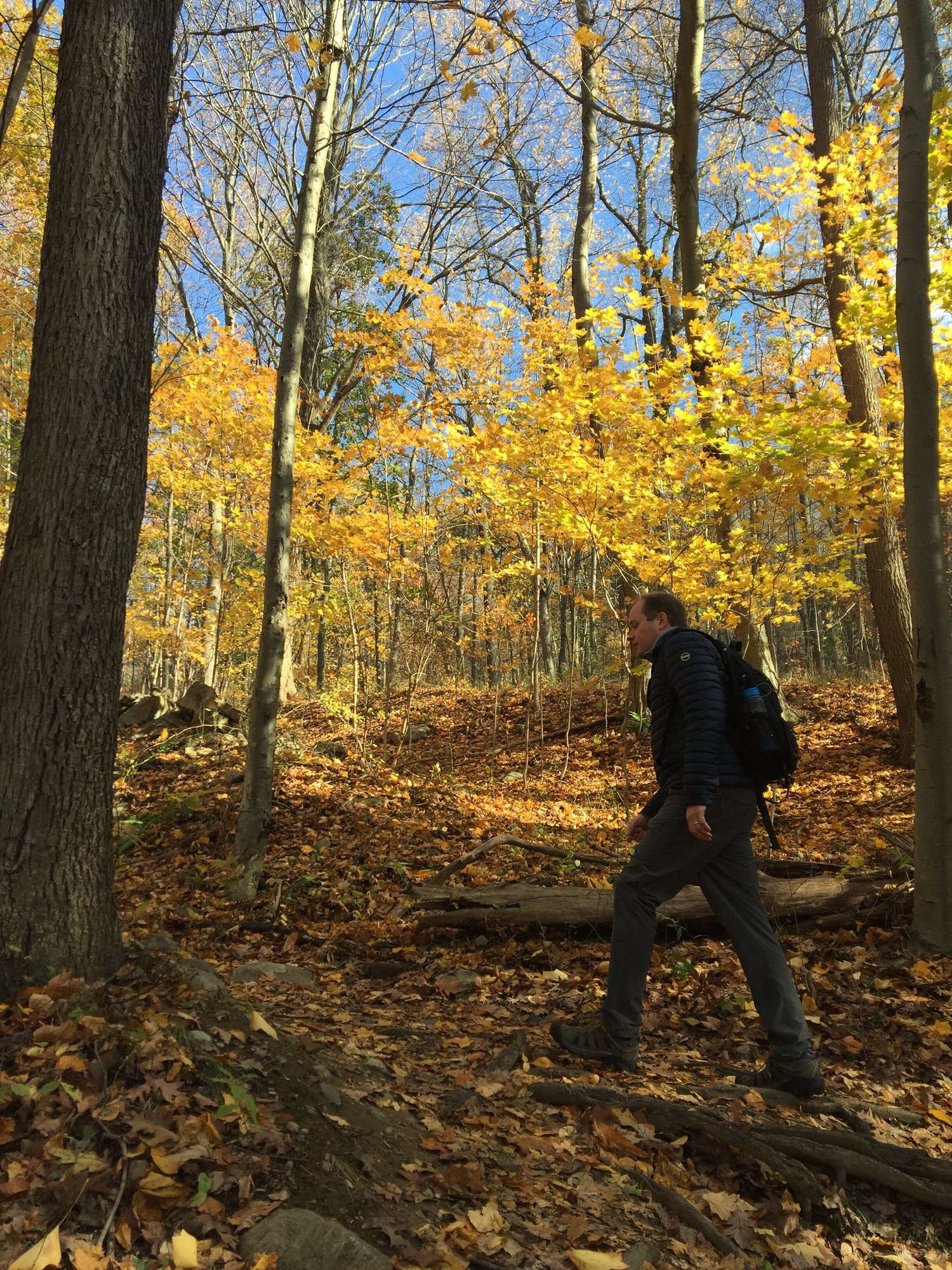 Fall Travel: New York City to Breakneck Ridge to Cold Spring — Book ...