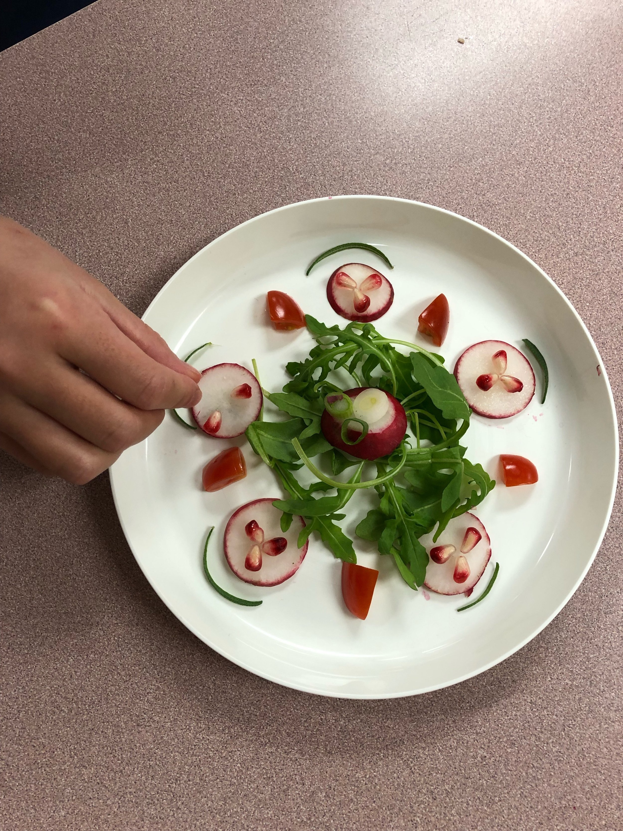 That's a Wrap on Our 2022 Fall Program! | Growing Chefs!