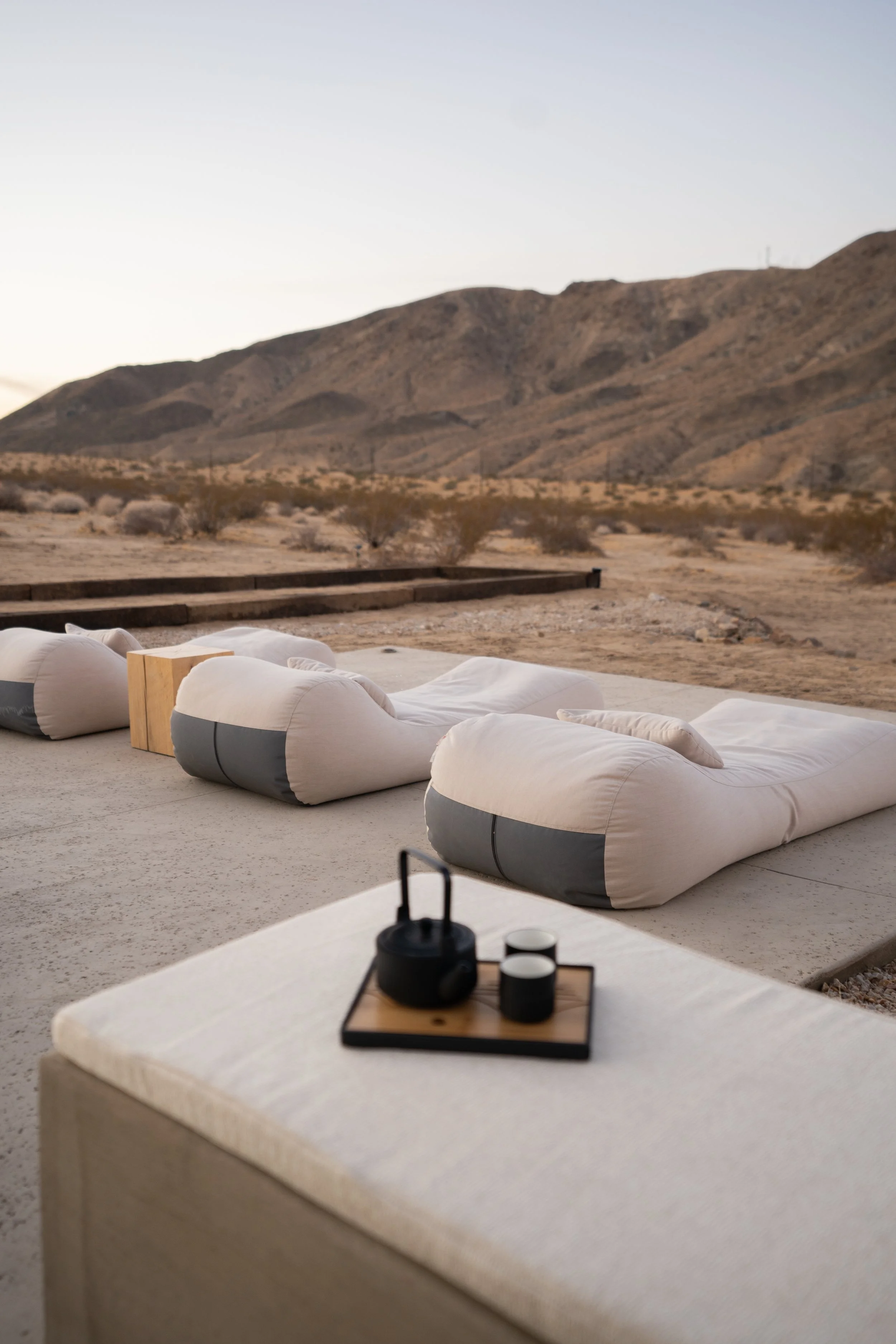 Joshua Tree — FOLLY