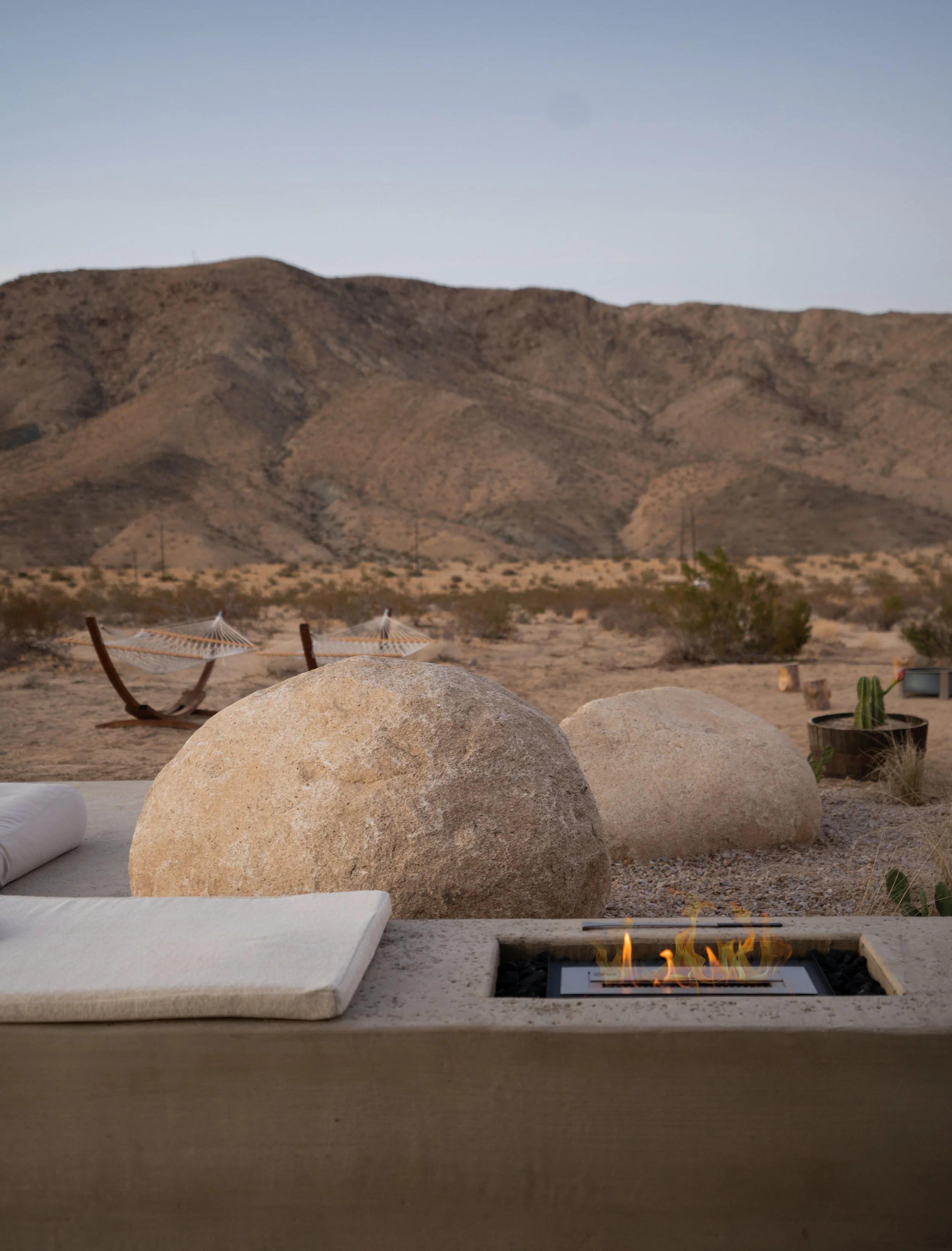 Joshua Tree — FOLLY