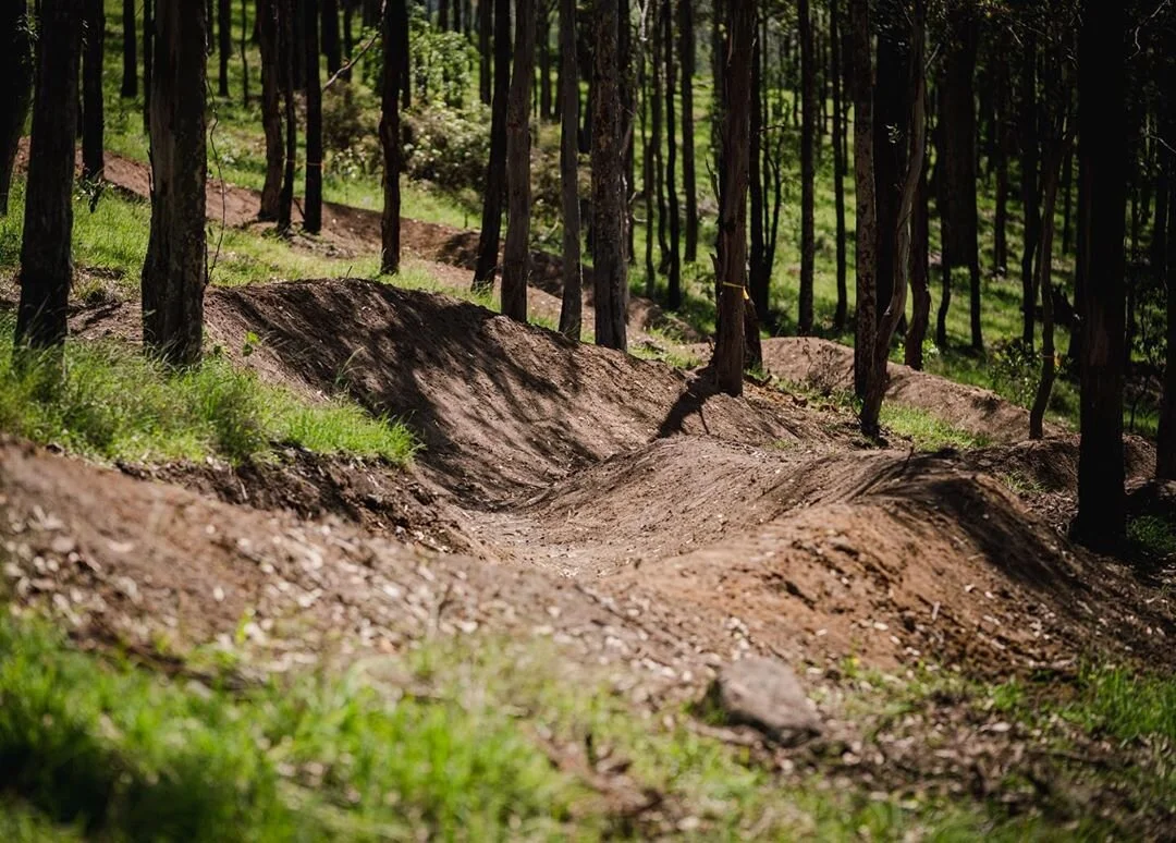 The Dungog Common — Ride Dungog