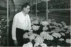About Us — Leider Greenhouses Visit our Garden Center today!