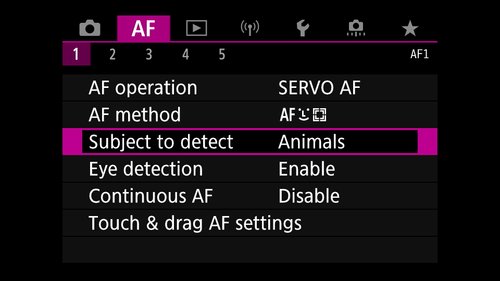 Use Servo and One-Shot AF Together on Canon (2025 Guide) — Paolo Sartori