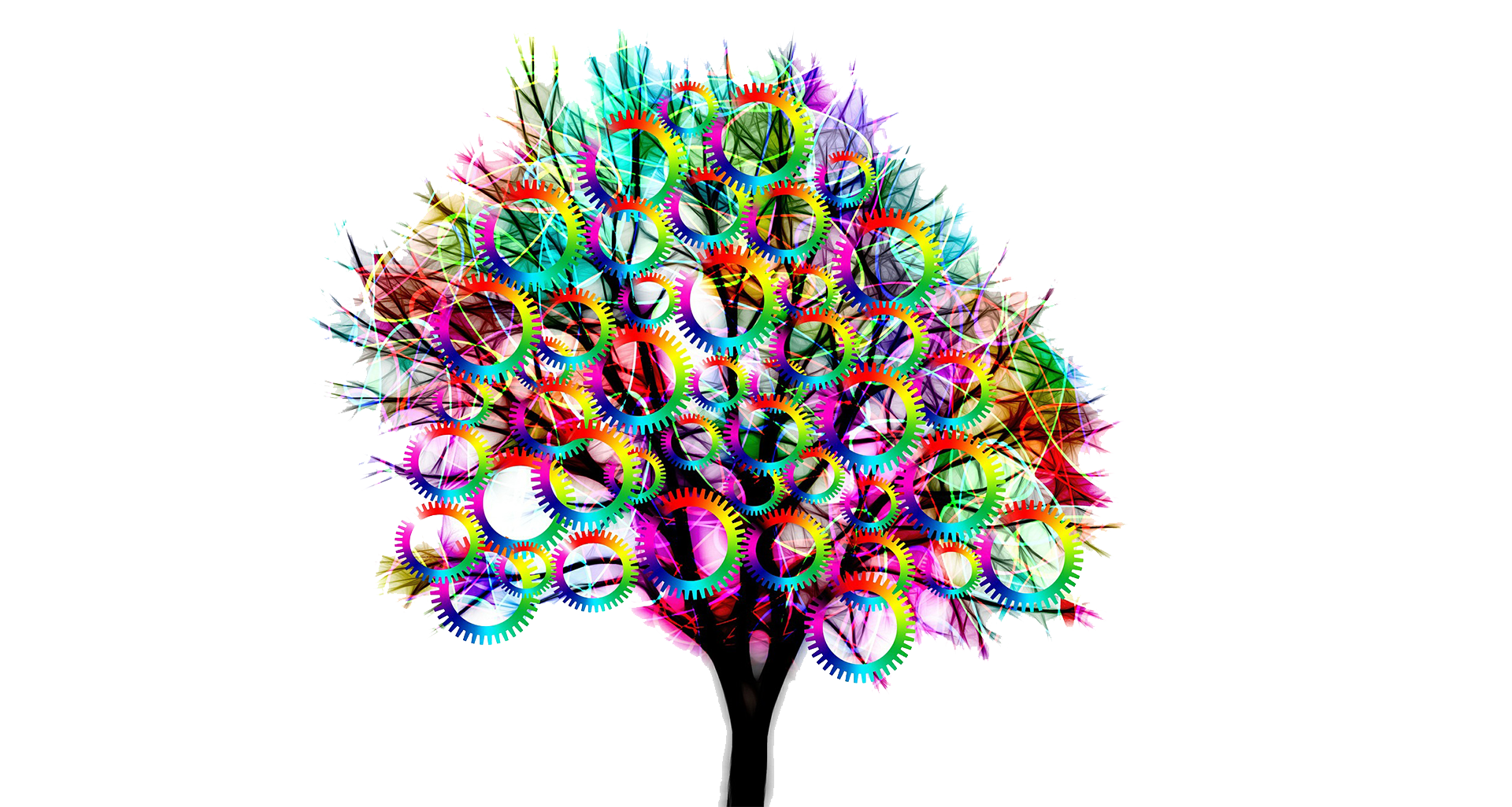 Reflection Feedback Resources — Wisconsin Alliance for Infant Mental Health
