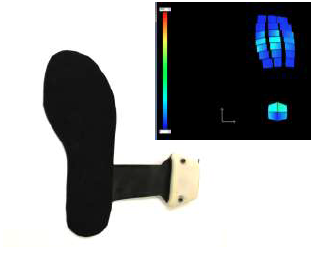 Foot Pressure Mapping Sensor — PPS