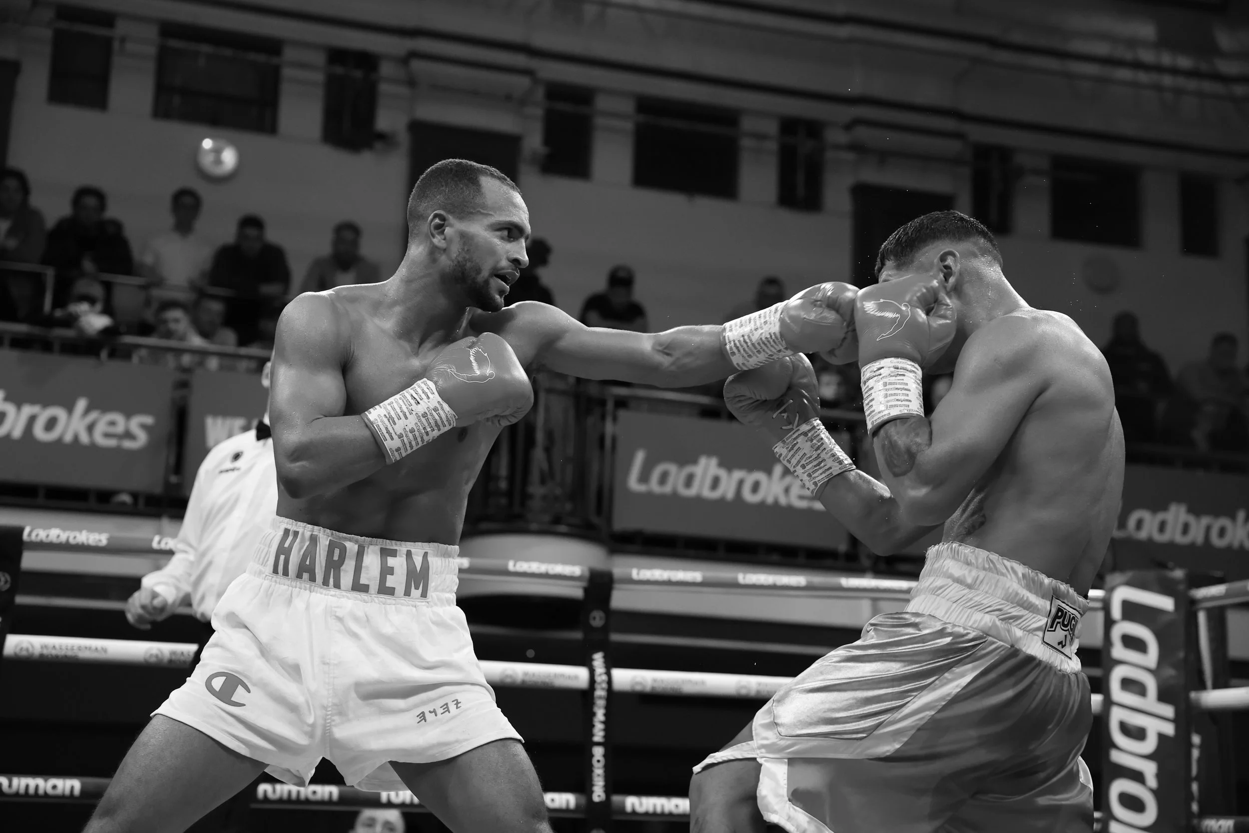 Live International Boxing — Infinitum Group