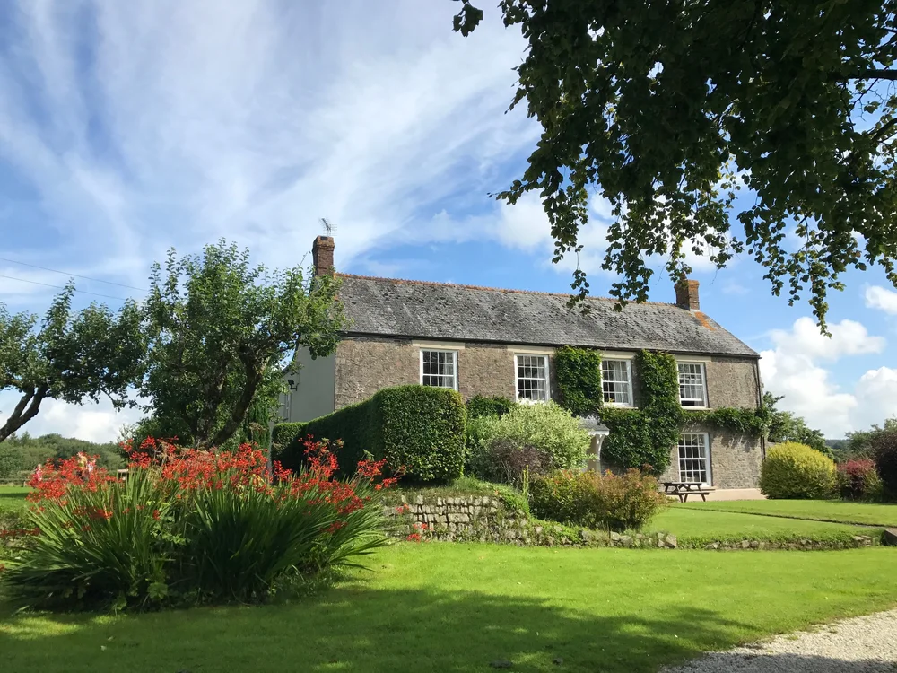 Toad Hall — Libbear Barton