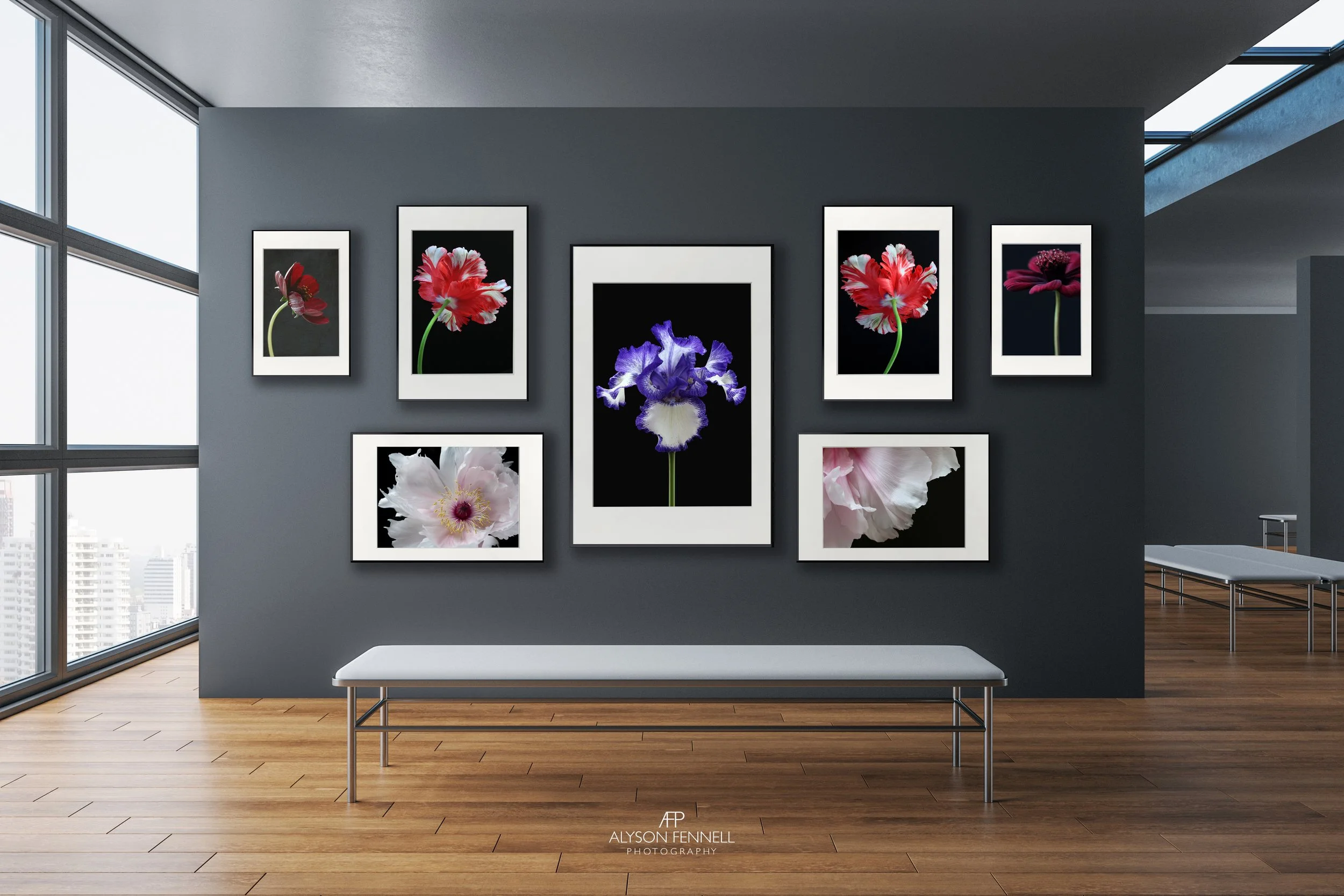 Gallery Wall Displays — Alyson Fennell Photography