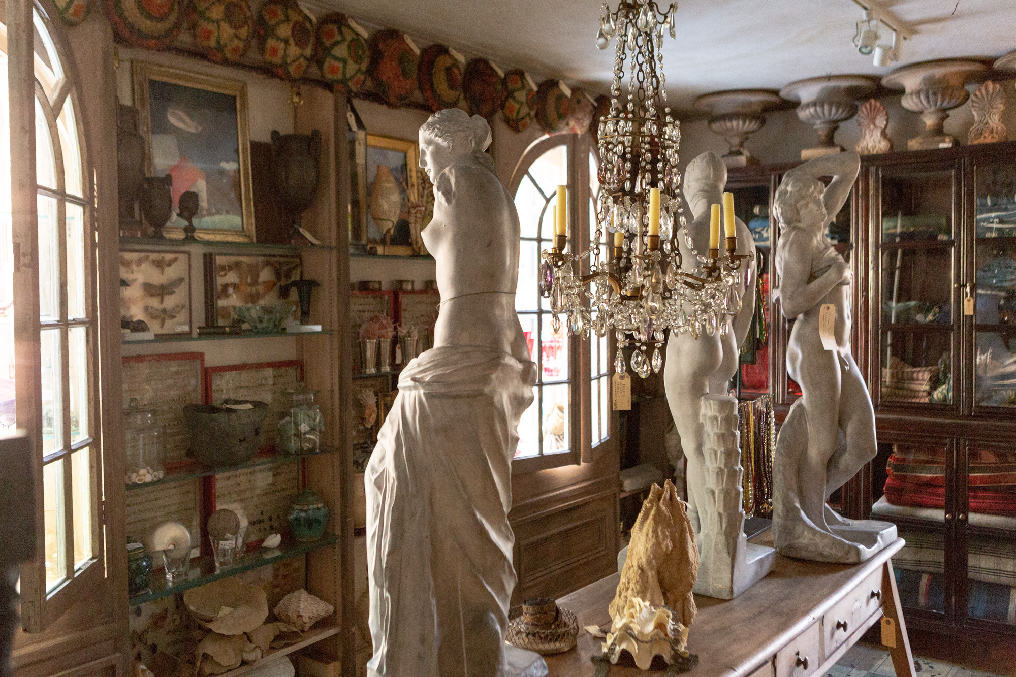 Contact — Michael Trapp Inc