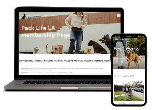 Pack Life LA - Dog Training, Workshops, Online Course