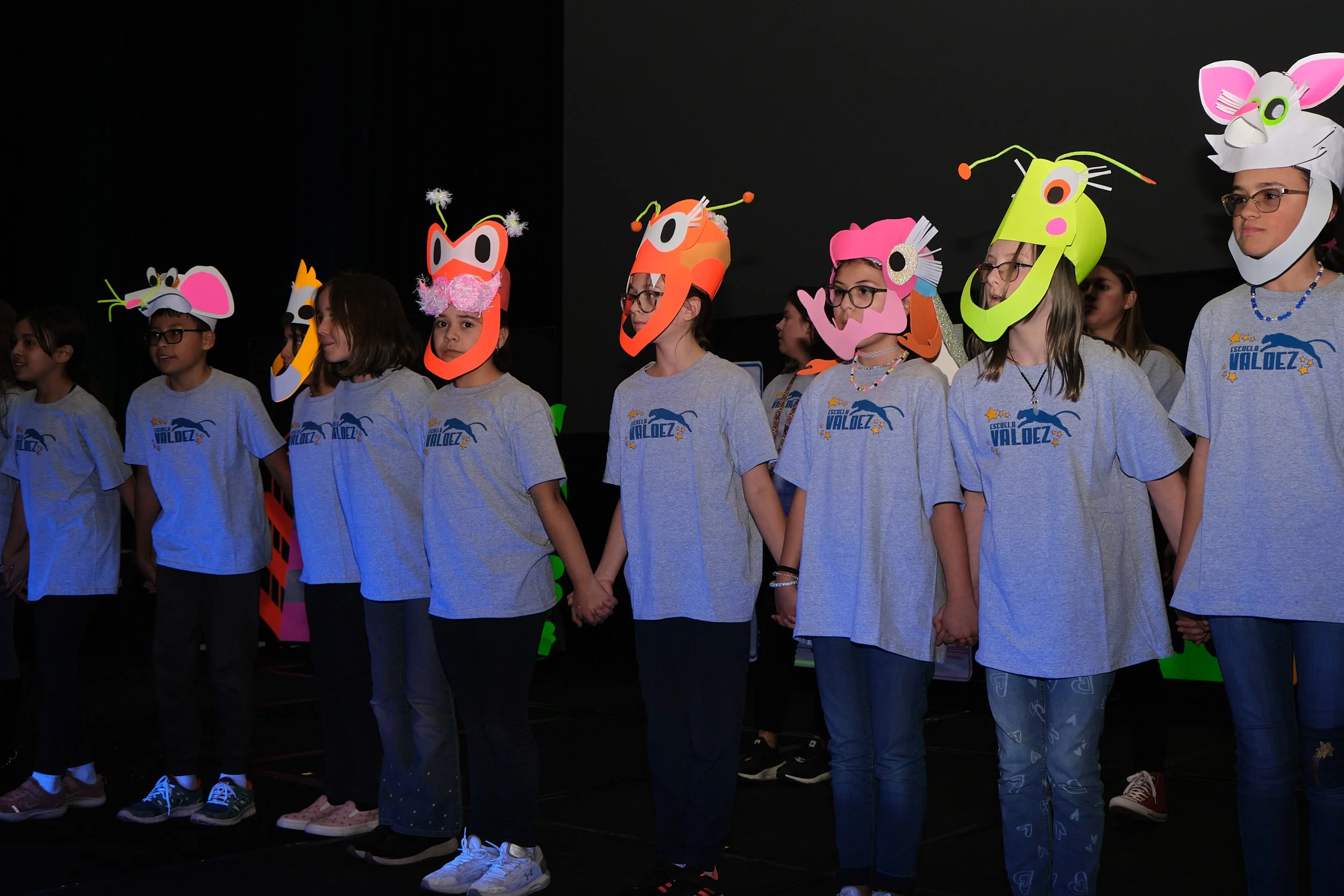 Luminary Learning Network