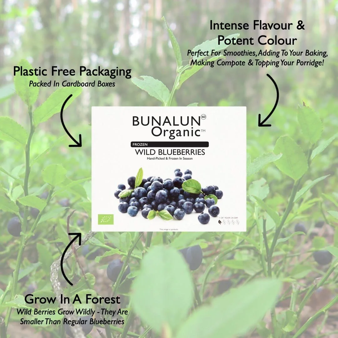 Frozen Organic Wild Blueberries — BUNALUN ORGANIC