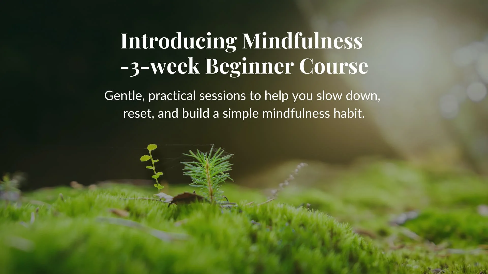 Introducing Mindfulness – 3‑Week Beginner Course — South Coast Mindfulness