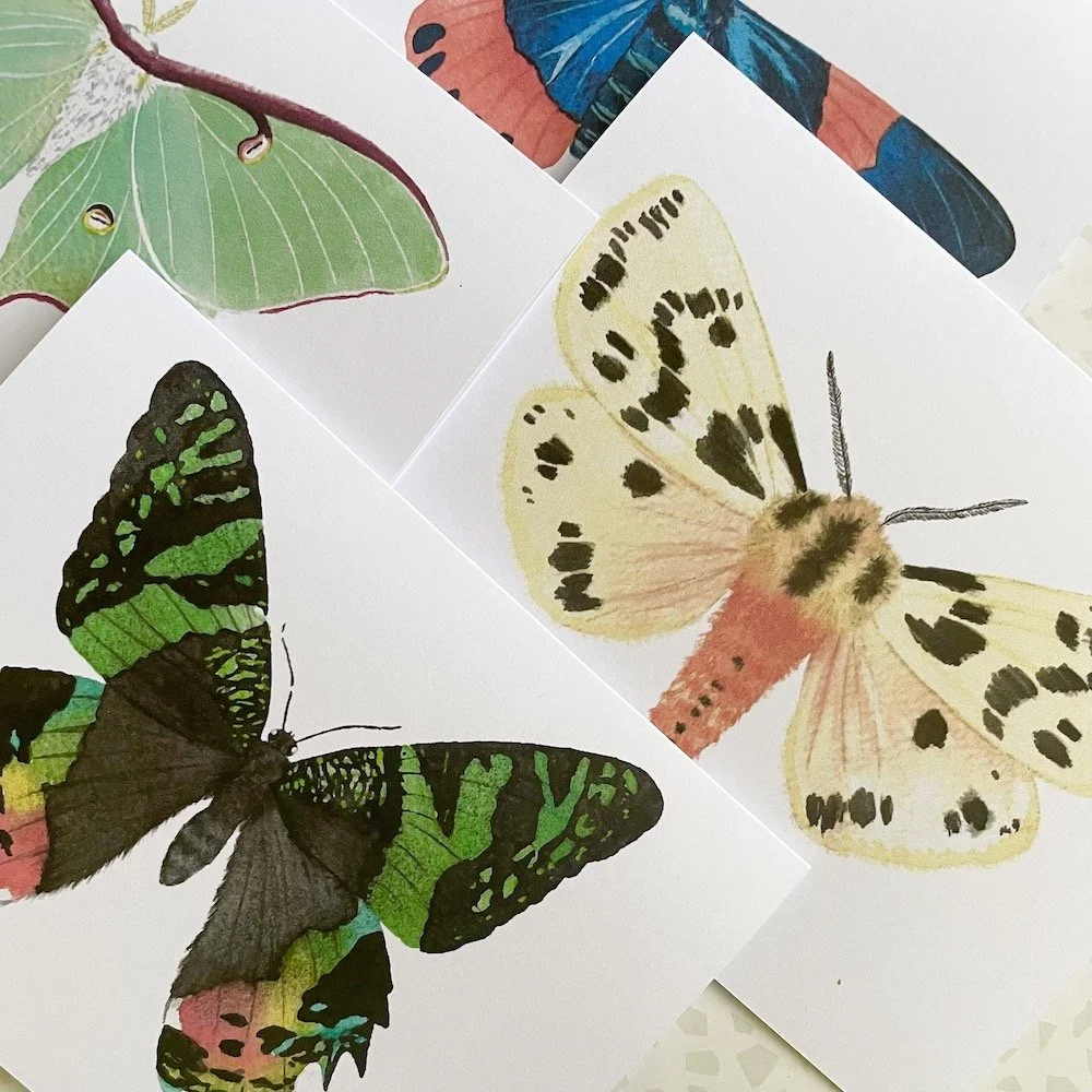 Amy Richards Illustration