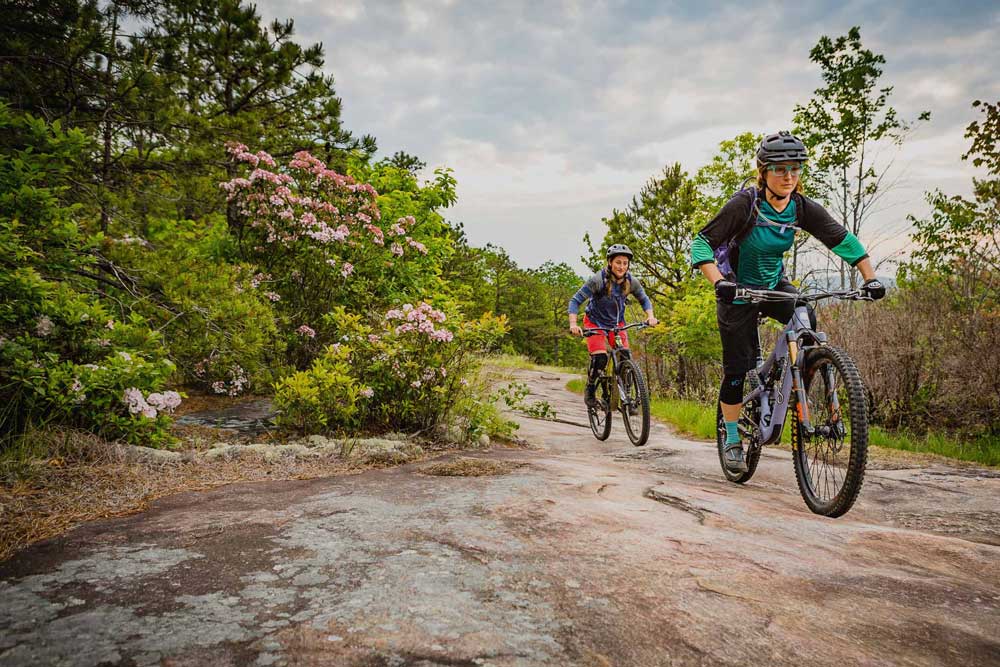 The Bike Farm | Mountain Biking in Pisgah, North Carolina