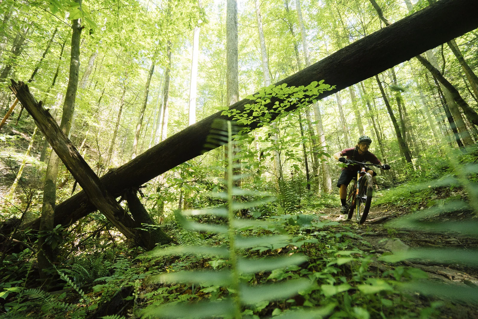 Bike Farm Gallery — The Bike Farm