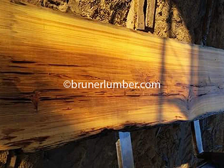 Cypress Wood