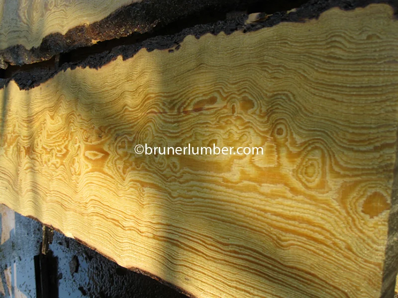 Curly Sinker Pine — BRUNER LUMBER