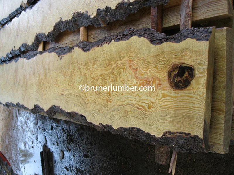 Curly Sinker Pine — BRUNER LUMBER