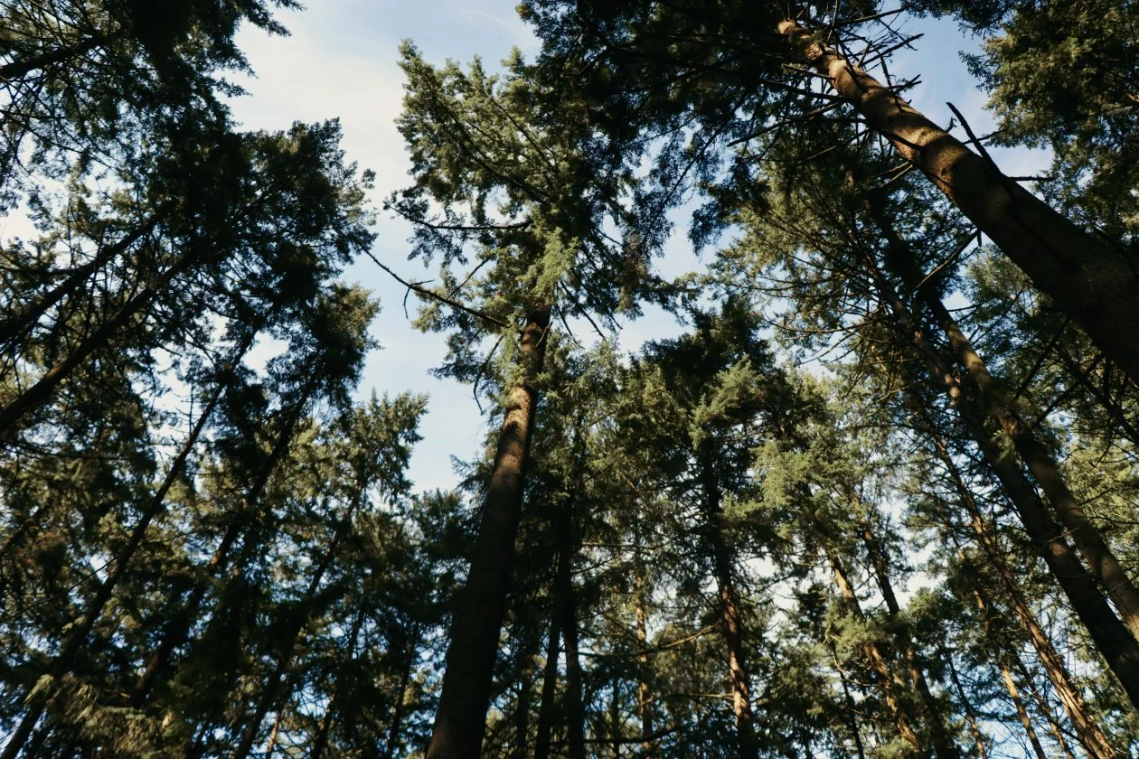Portland Community Church | Inspiring People To Follow Jesus