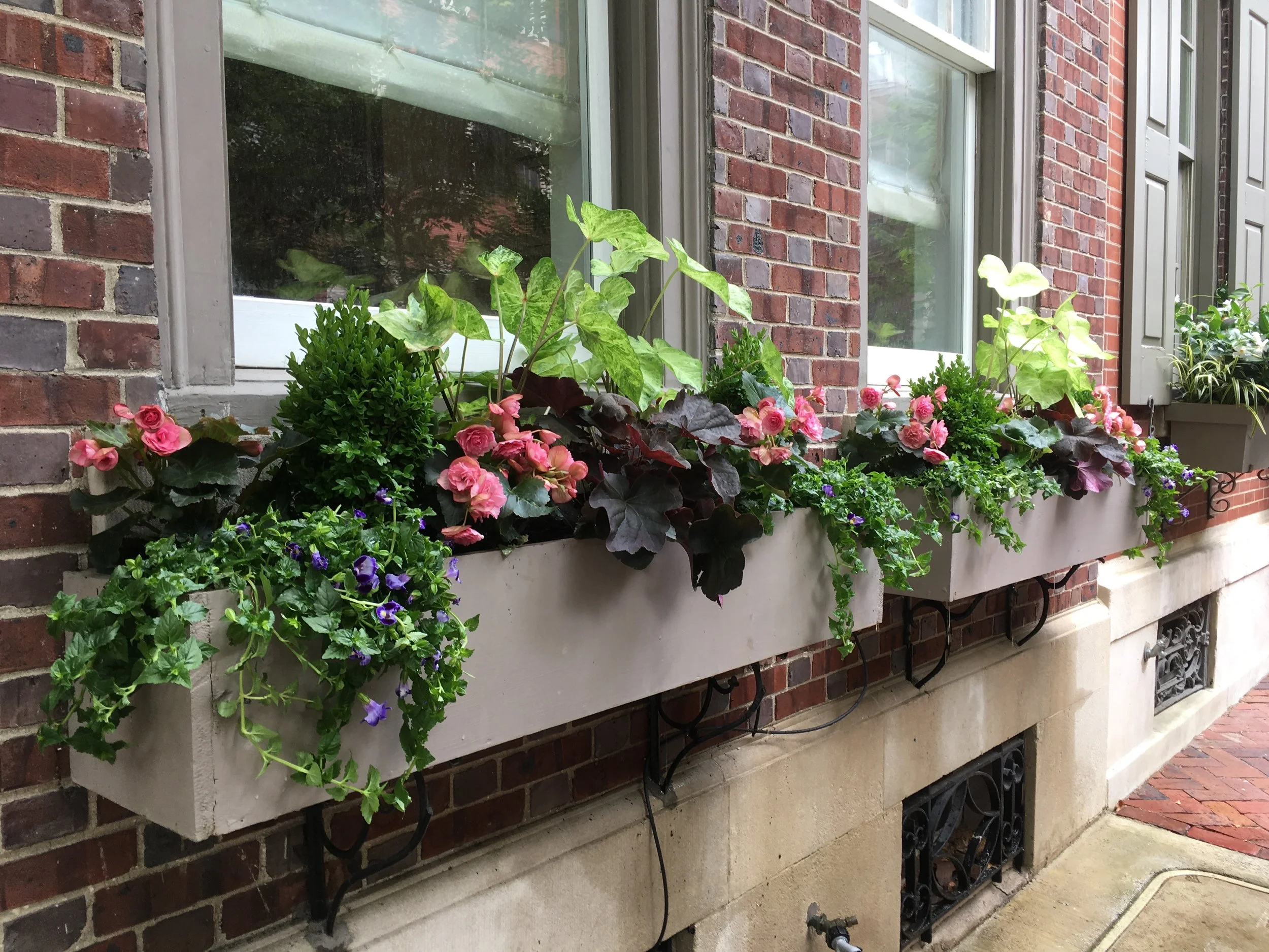 Container Gardening — City Planter