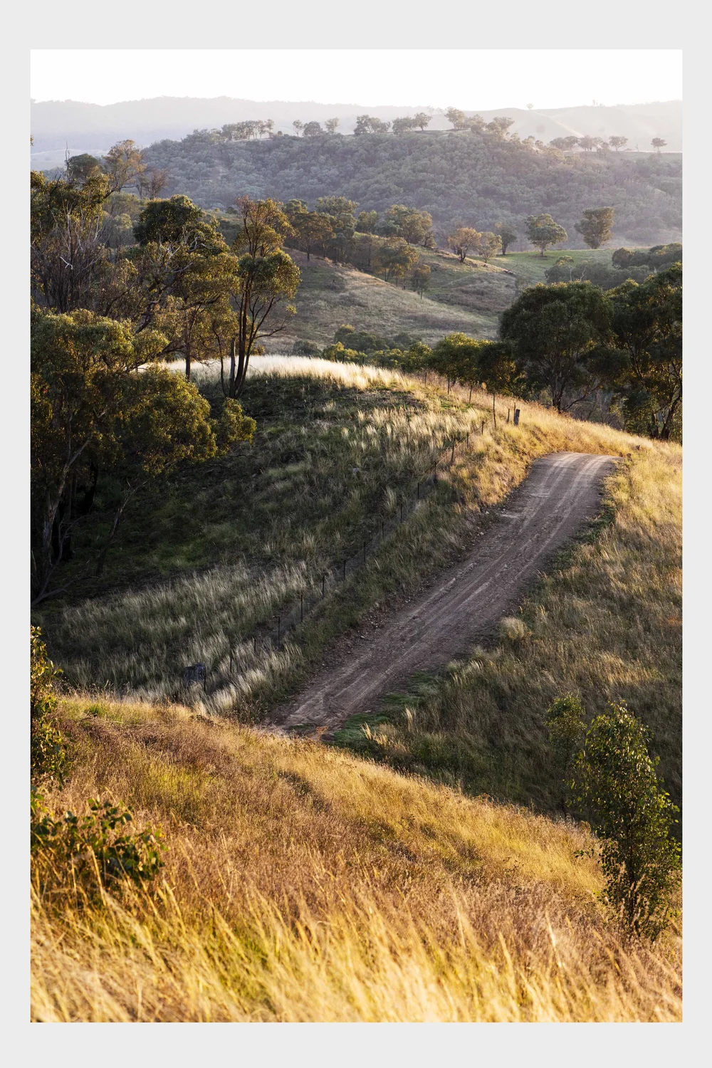 Highfield Farm — Brigid Arnott Photography