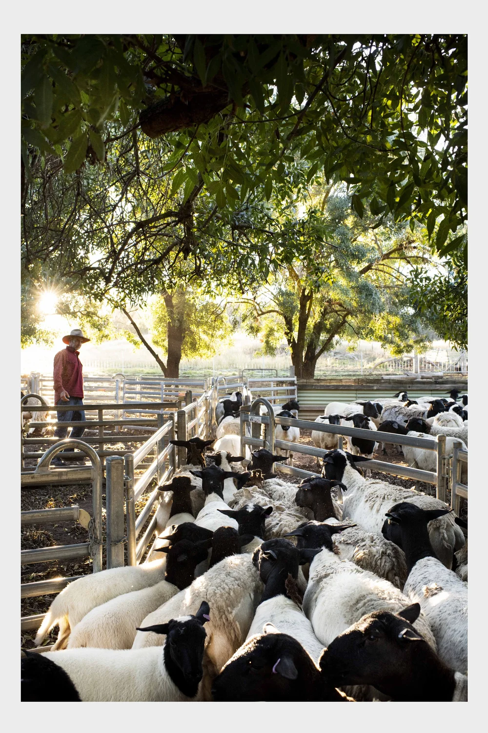 Highfield Farm — Brigid Arnott Photography