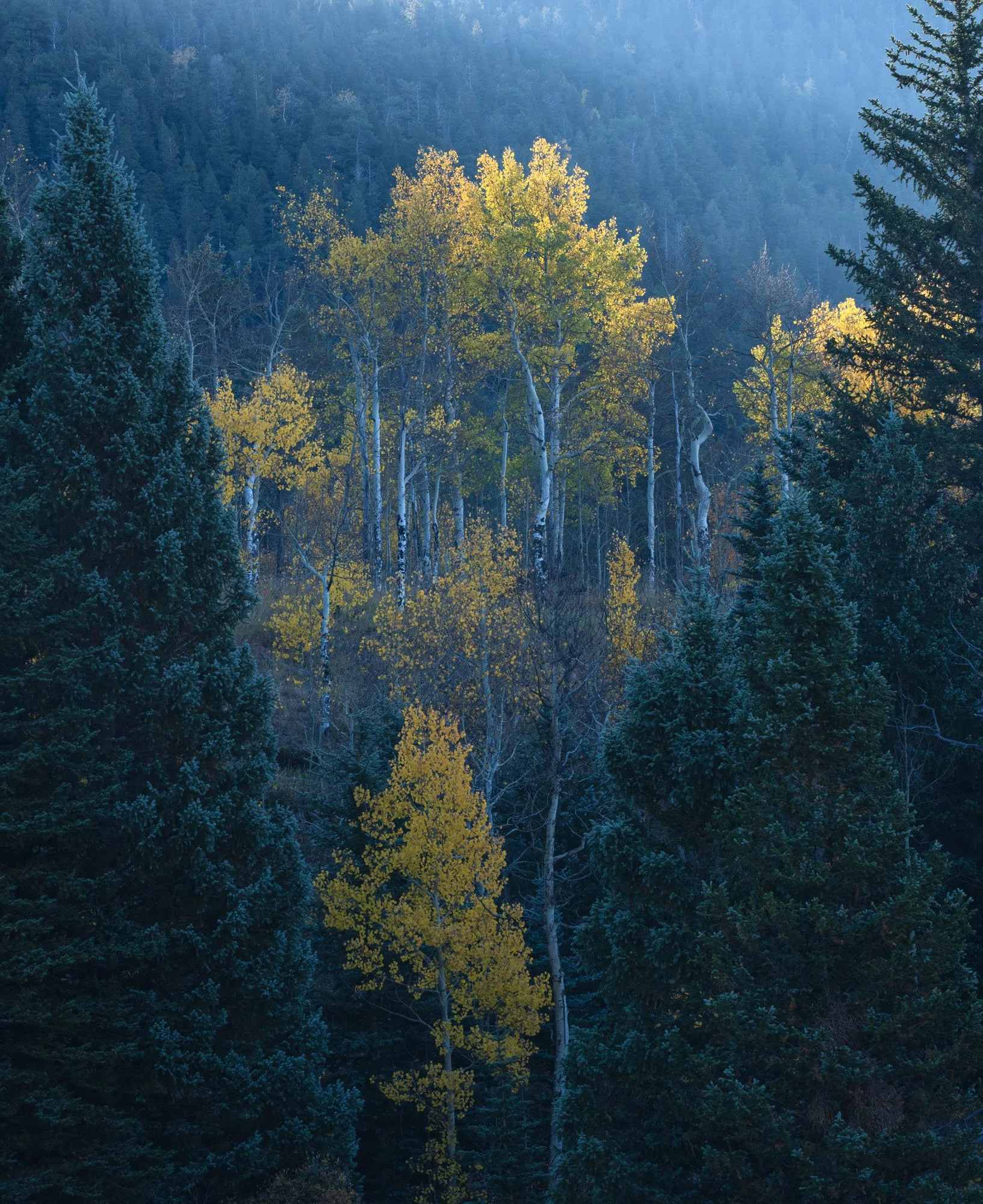 Alfredo Mora Photography | New Releases