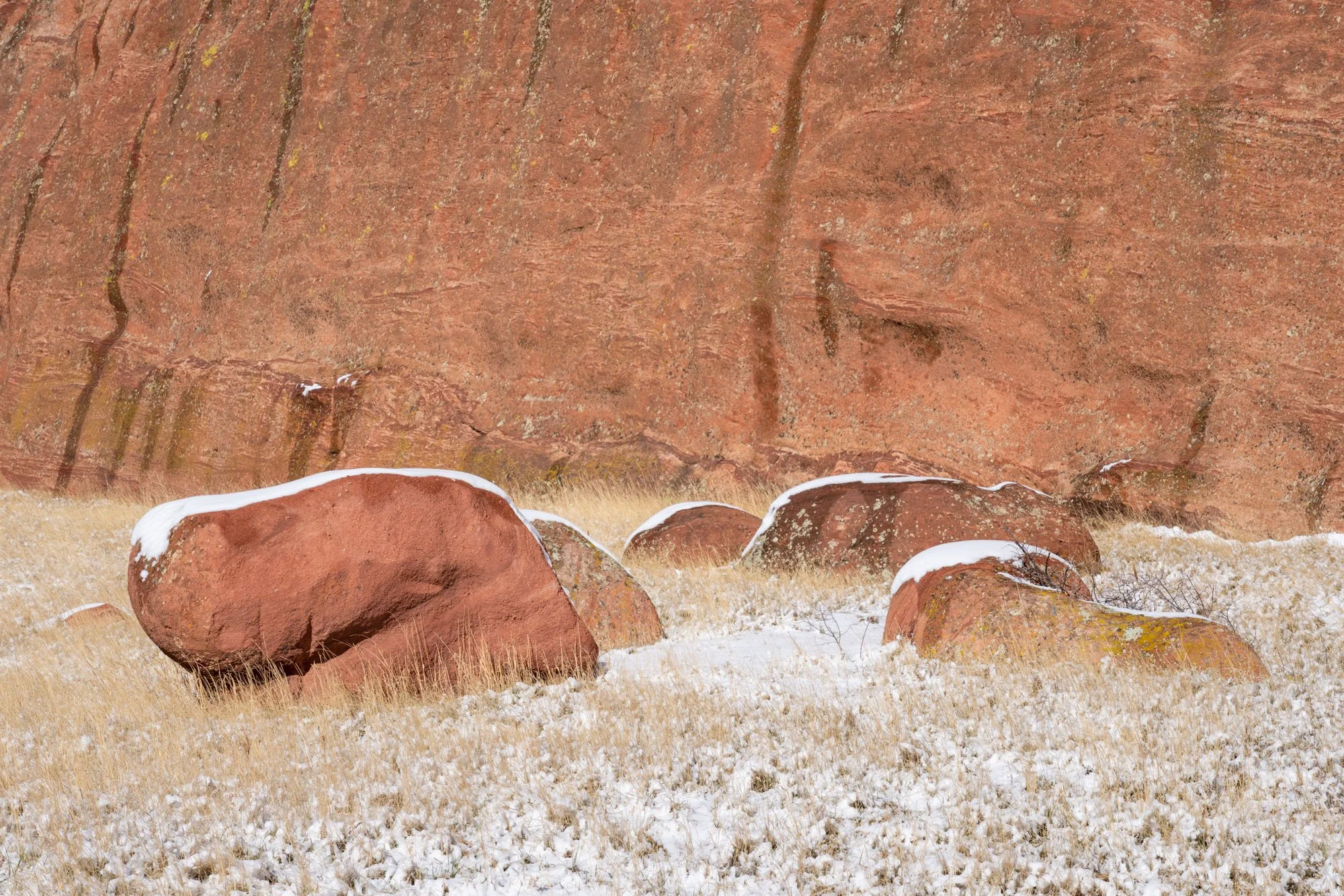 Alfredo Mora Photography | New Releases