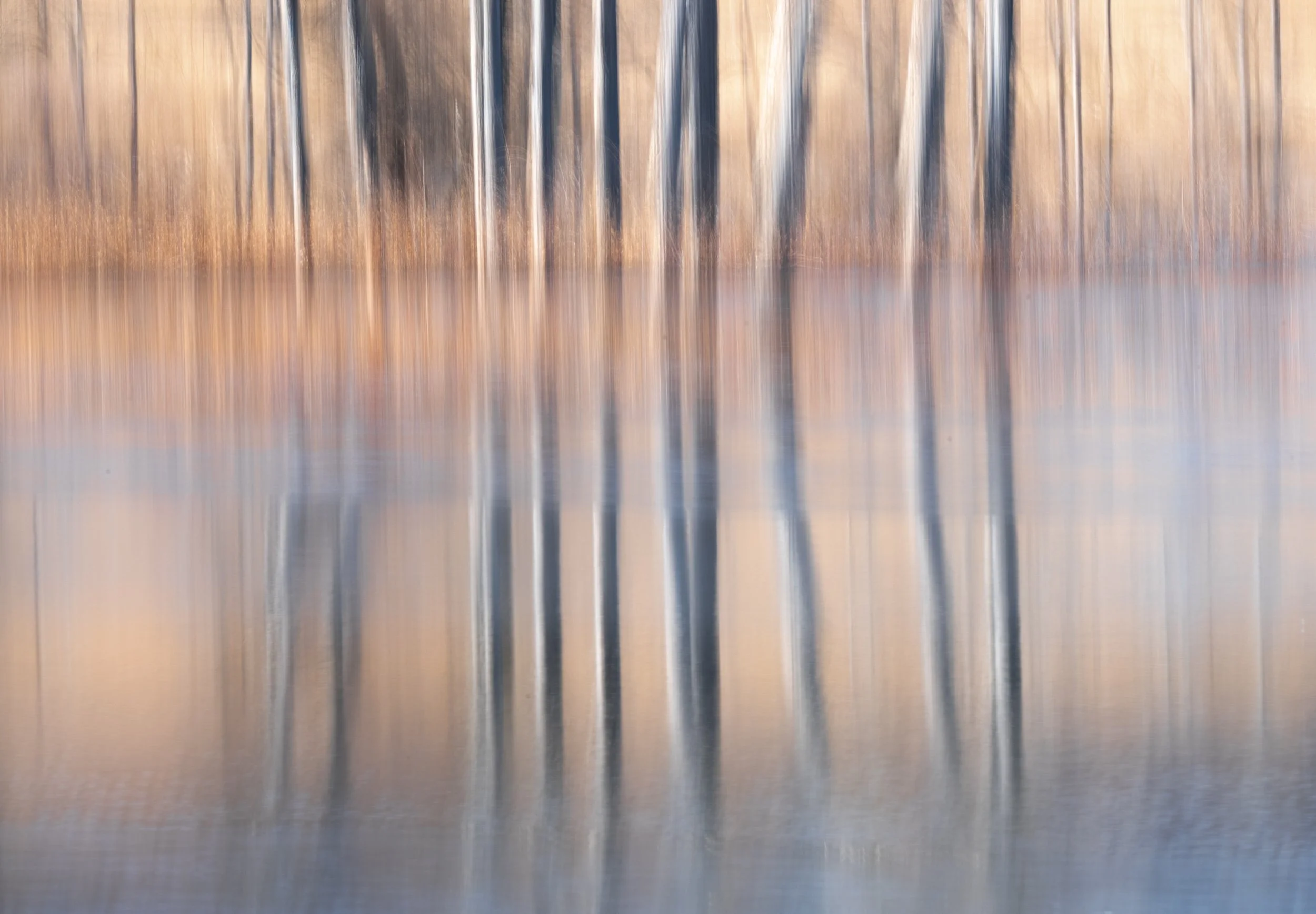 Alfredo Mora Photography — A Primer on ICM Photography | Fine Art ...