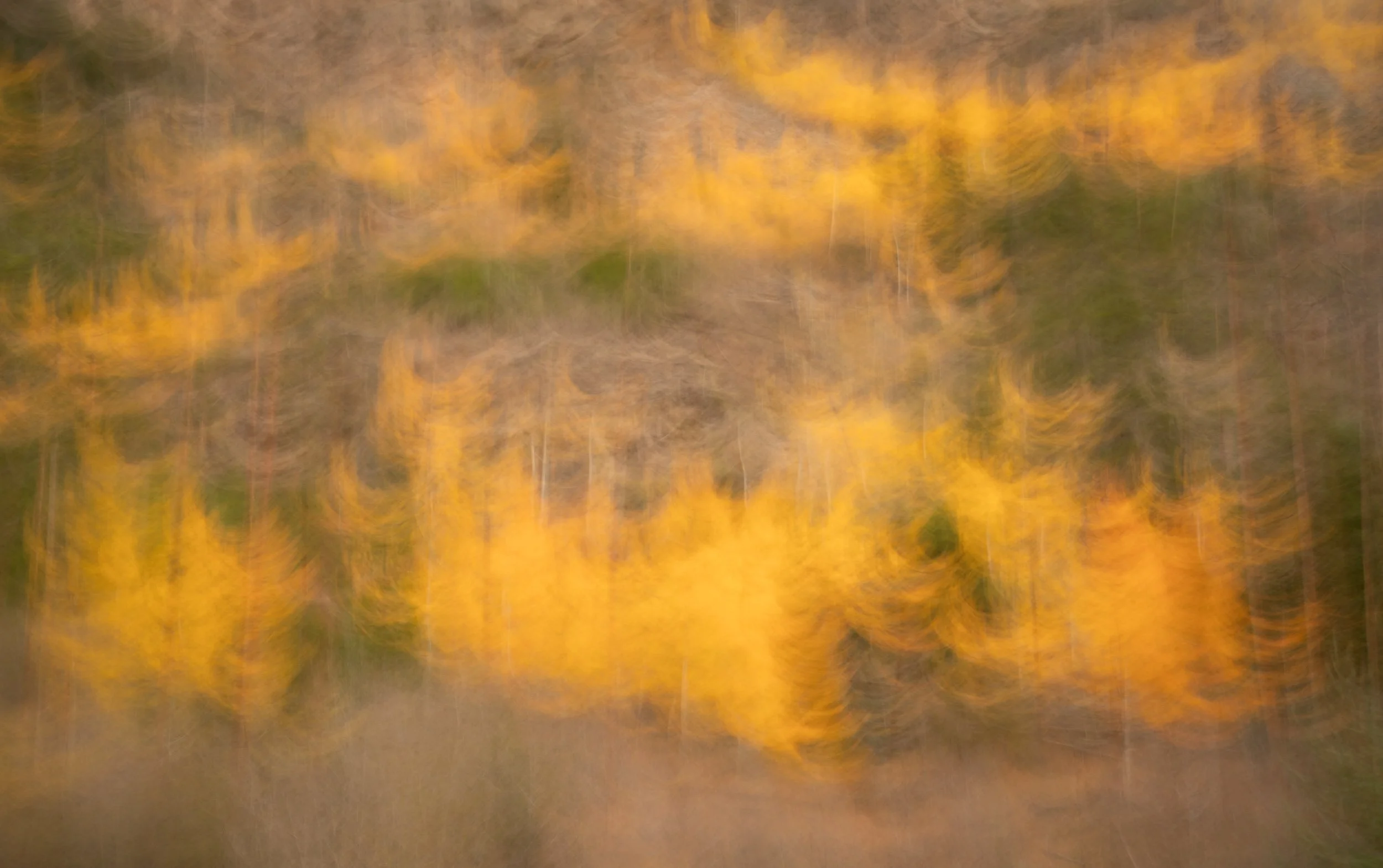 Alfredo Mora Photography — A Primer on ICM Photography | Fine Art ...