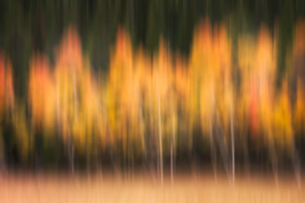 Alfredo Mora Photography — A Primer on ICM Photography | Fine Art ...