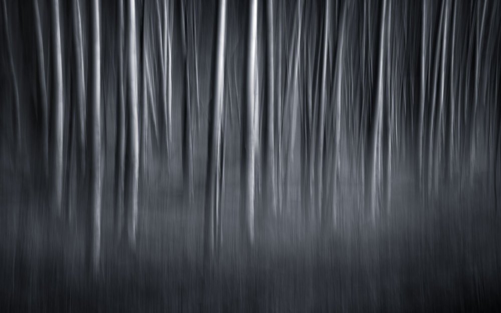 Alfredo Mora Photography — How ICM Photography Affects My Creativity ...