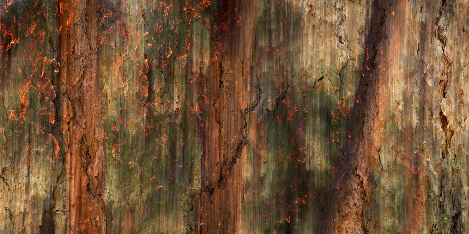 Alfredo Mora Photography — How ICM Photography Affects My Creativity ...