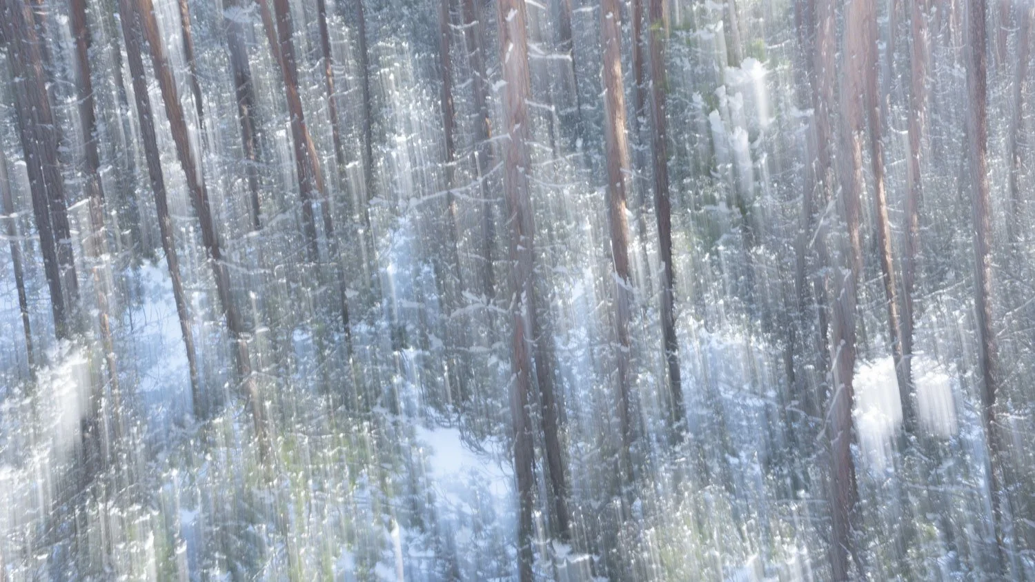 Alfredo Mora Photography — How ICM Photography Affects My Creativity ...