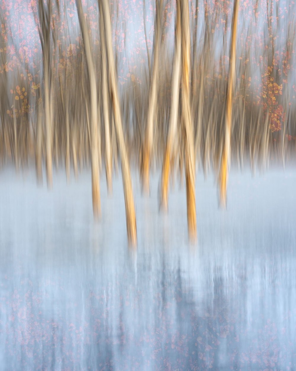 Alfredo Mora Photography — How ICM Photography Affects My Creativity ...
