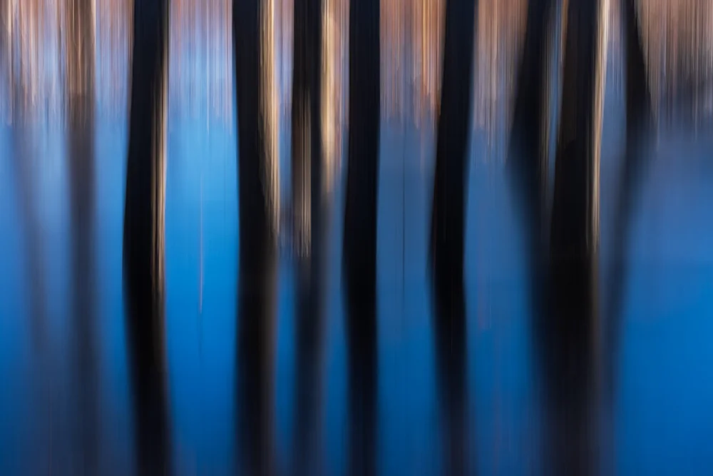 Alfredo Mora Photography — A Primer on ICM Photography | Fine Art ...