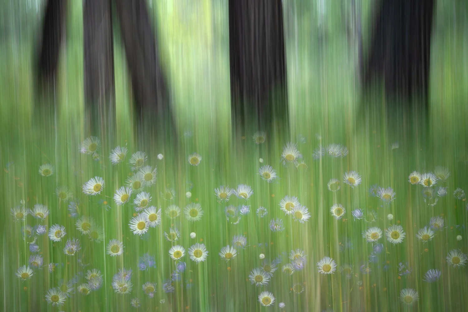 Alfredo Mora Photography — How ICM Photography Affects My Creativity ...