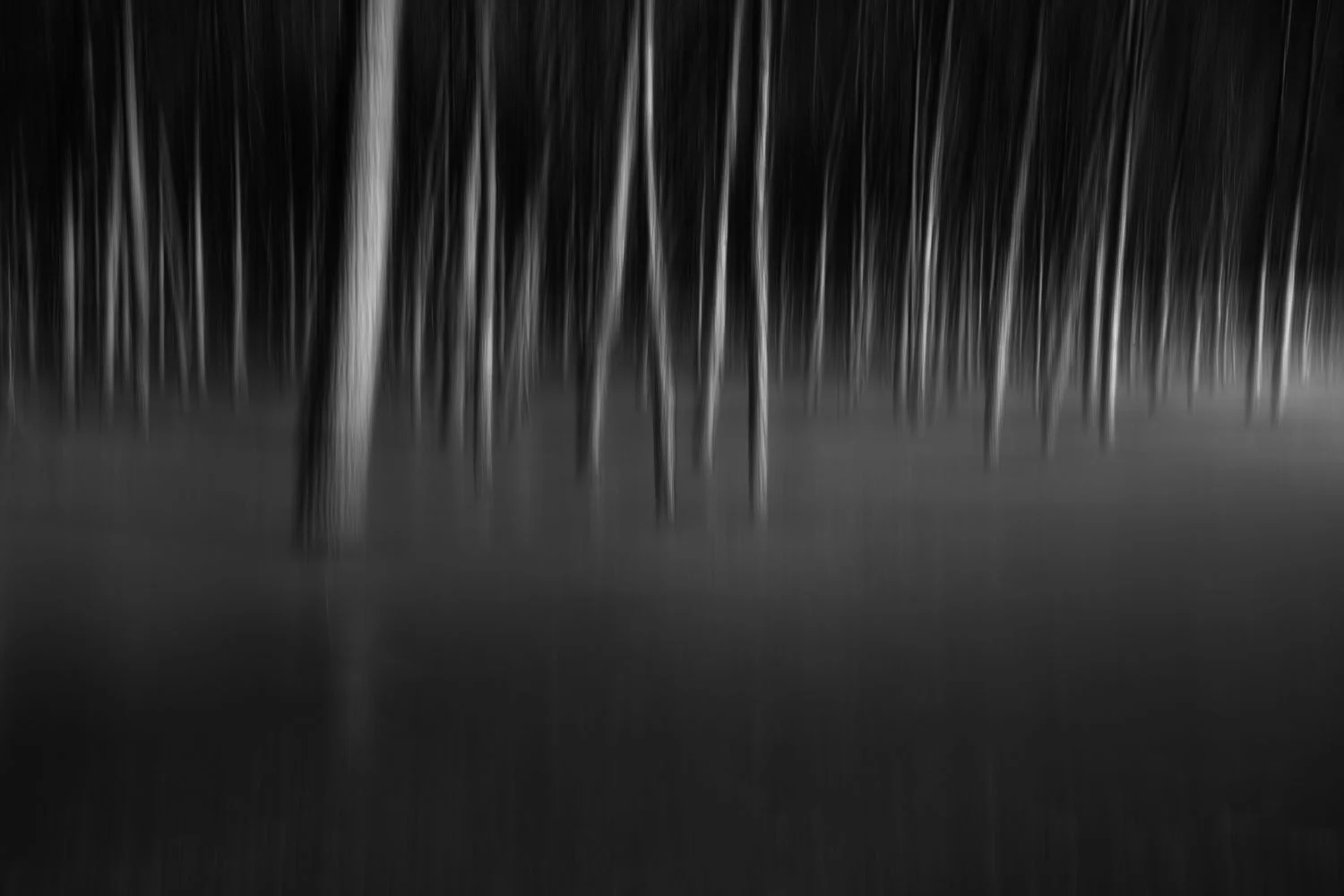 Alfredo Mora Photography — How ICM Photography Affects My Creativity ...