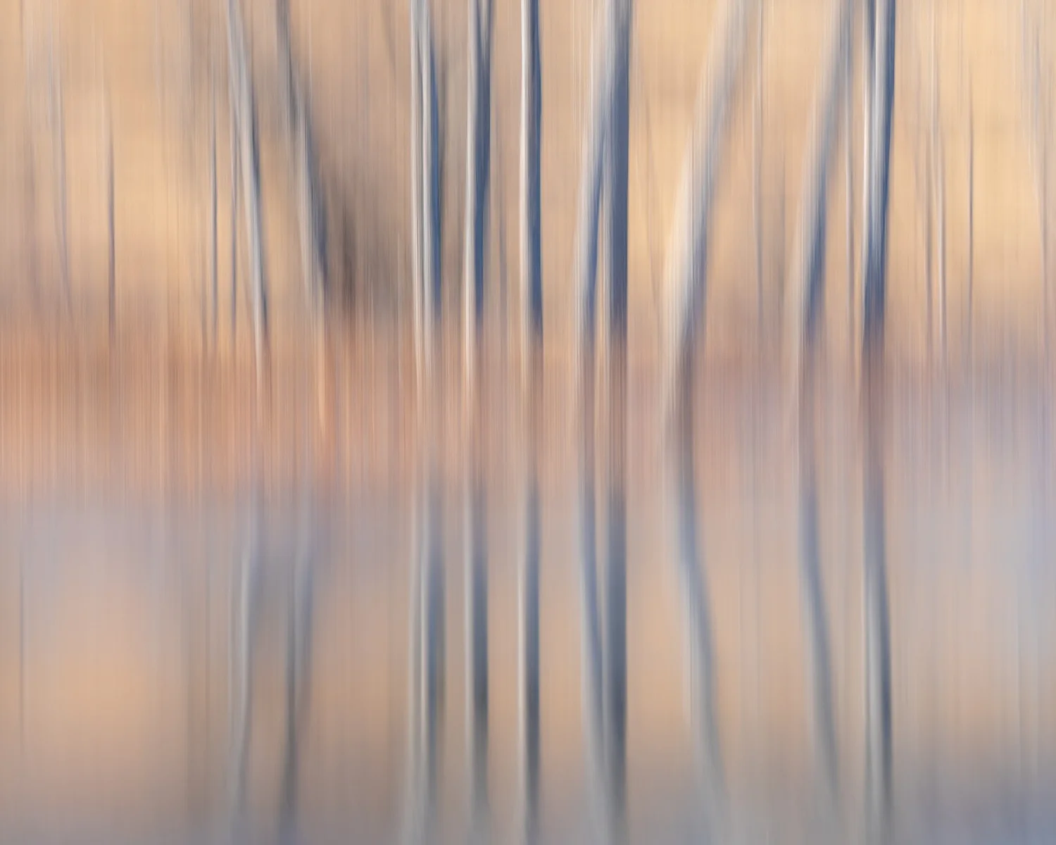 Alfredo Mora Photography — A Primer on ICM Photography | Fine Art ...