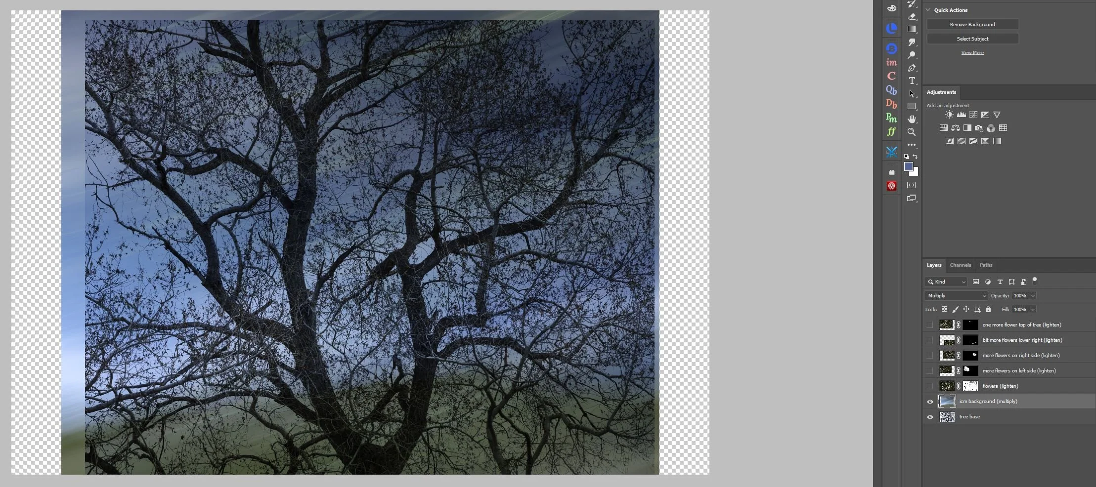 Alfredo Mora Photography — Decomposing Chasing Sakura | Fine Art Nature ...