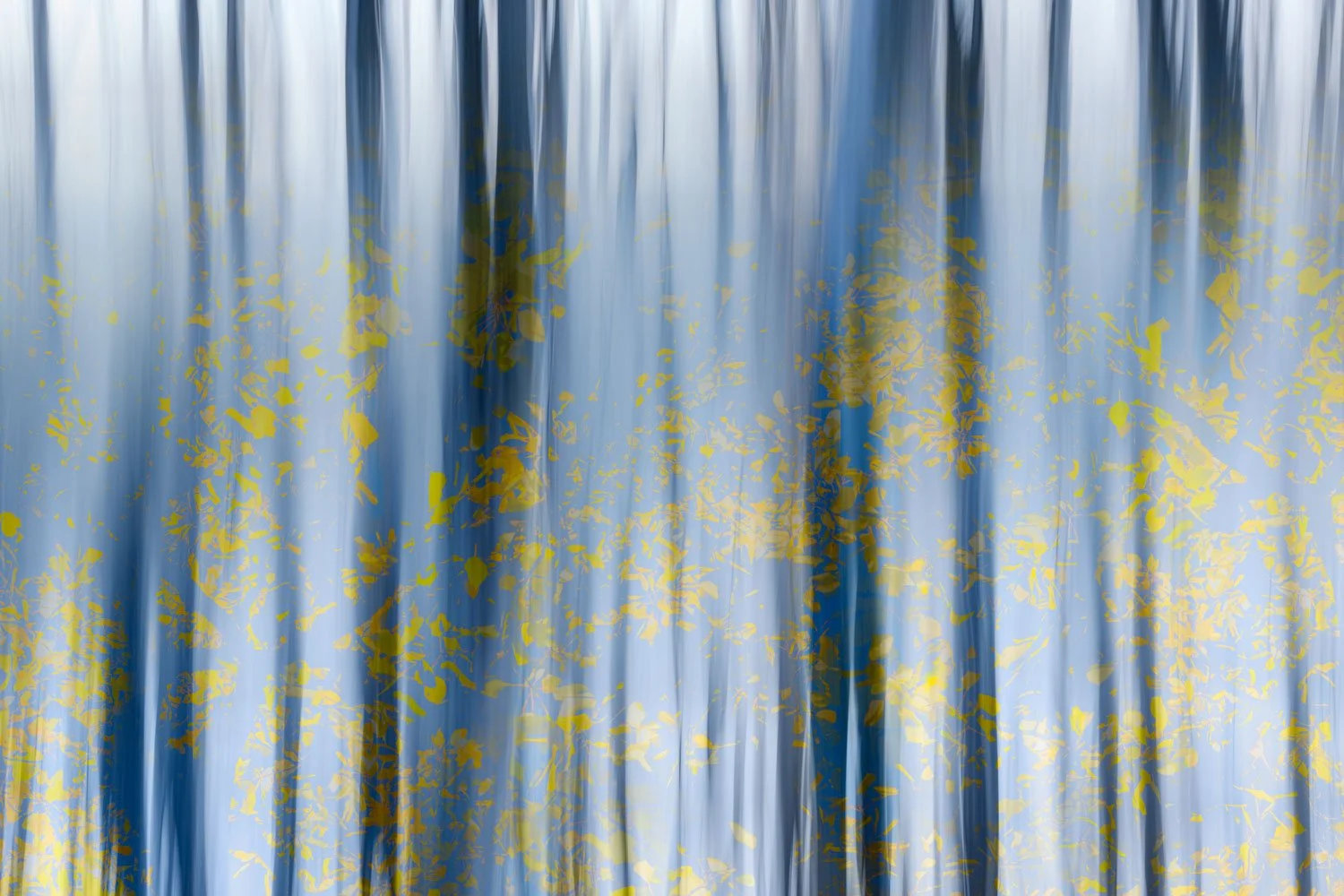 Alfredo Mora Photography — How ICM Photography Affects My Creativity ...