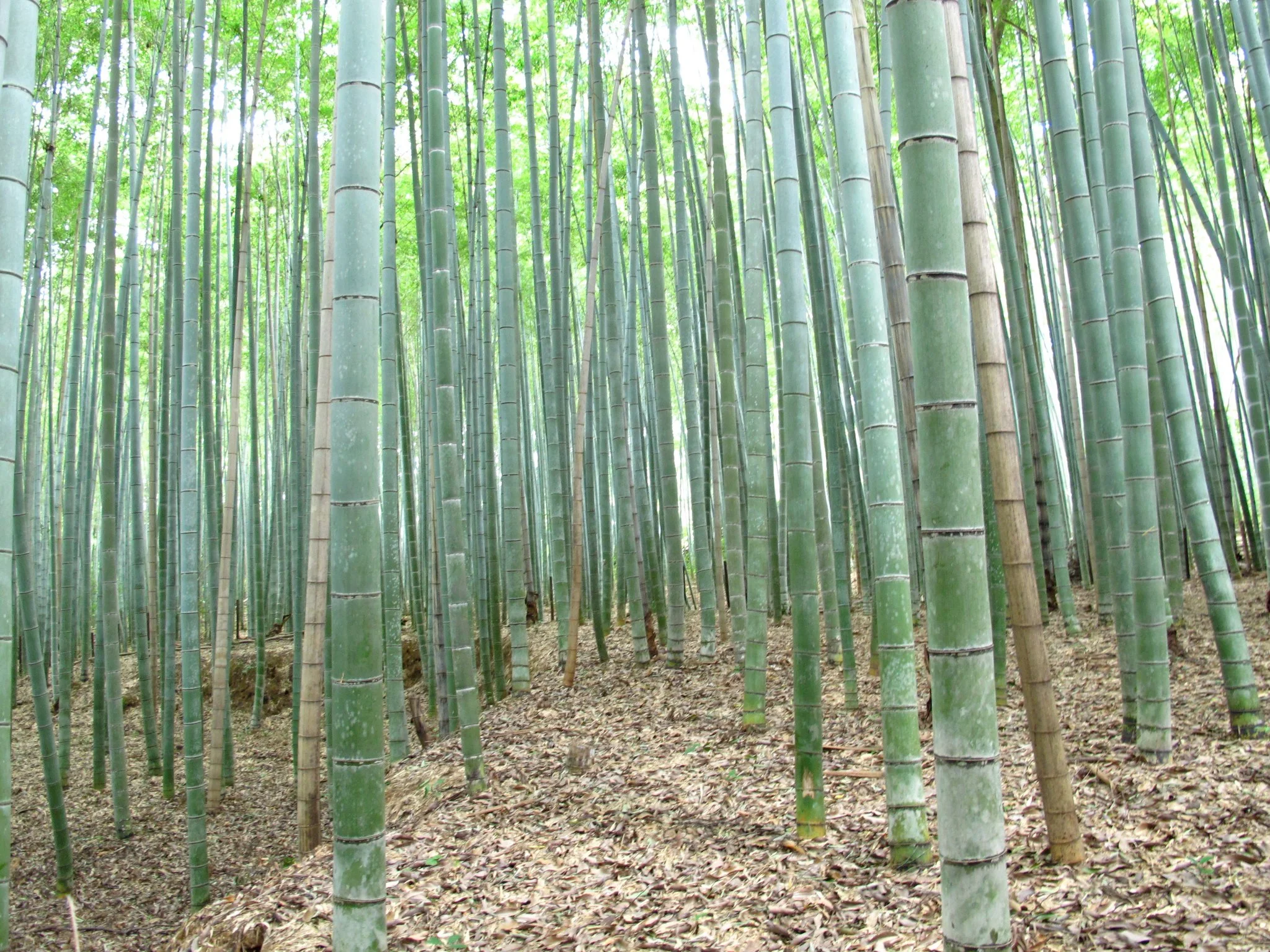 A Center for Mind Body Wellness in Alexandria, Virginia. - Alexandria ...