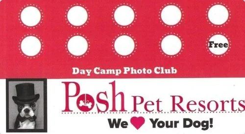 Rates — Posh Pet Resorts