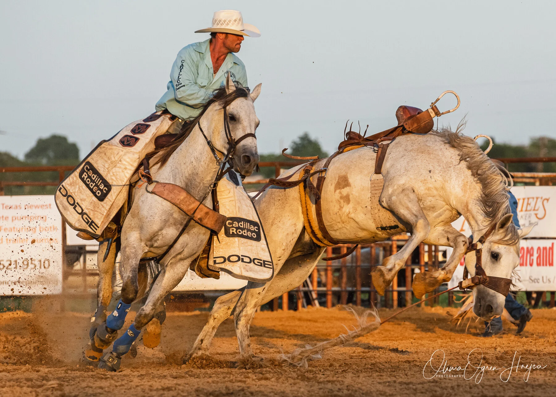 Frisco photographer Olivia Ogren-Hrejsa's images from the 2021 ...