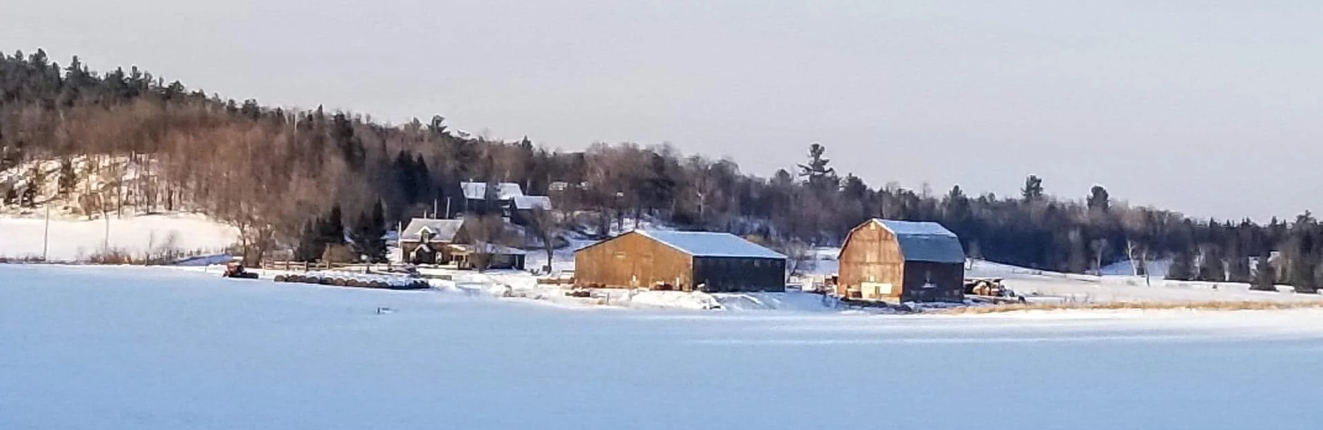 Ferme Peabody Farm — Peabody Farm raises heritage pigs, hosts seasonal ...