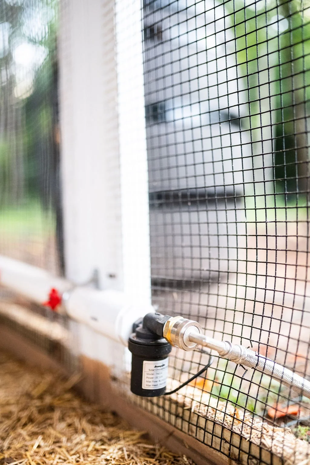 Our Dream Chicken Coop with Carolina Coop — Porche & Co.